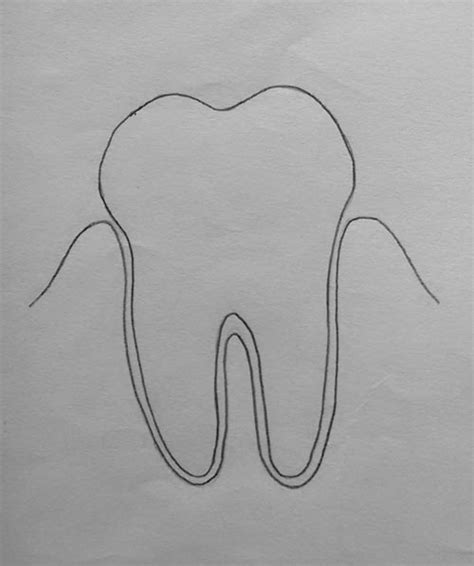 DRAW IT NEAT How To Draw Tooth Diagram Labeled