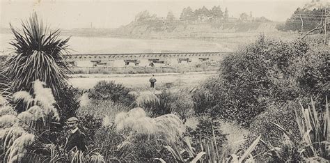 The Reefs Were Abundant In Marine Life An Important Food Source For Māori