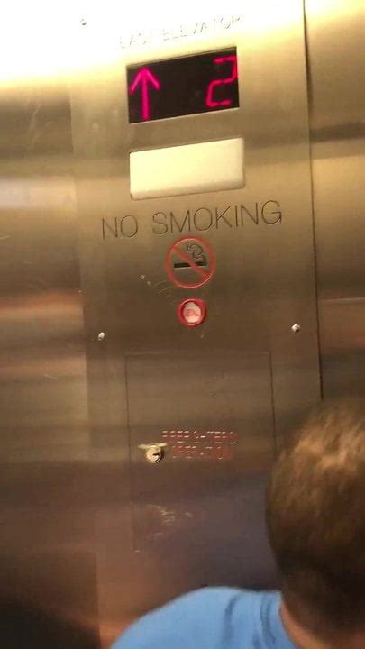 Free Sex In Elevator Porn Videos Xhamster Free Sex In Elevator Porn Videos Xhamster