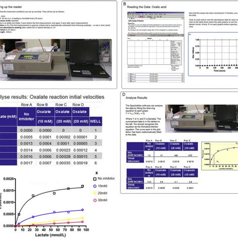 Michaelis Menten Plots For The Ldh Assay In The Presence And Absence Of Download Scientific