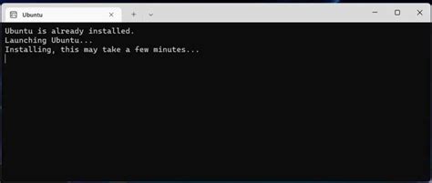 วิธีเปิดใช้งาน Wsl2 Windows Subsystem For Linux Version 2 บน Windows 11 Home Cs Developers