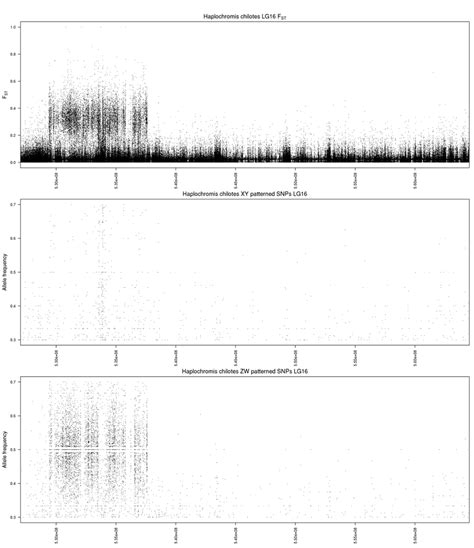 Single Chromosome Plot For Haplochromis Chilotes The Top Panel Shows