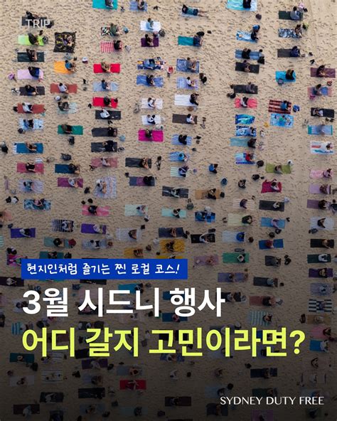 시드니면세점 길을 걷다가 귀여운 게 보여서 주웠는데… 여기가 어디야 🐑🥝⠀ ㅤ⠀ 헬로키티 인형이 가득한 천국으로 입장