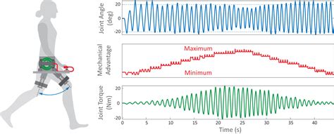 Variable Stiffness Technology In Human Augmentation