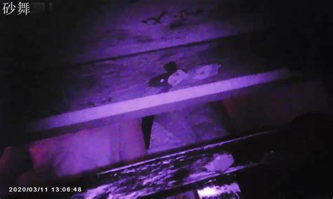 昆明砂舞厅视频10分钟 砂舞5 91热爆