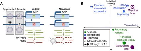 Tools And Best Practices For The High Throughput Production Of Allelic