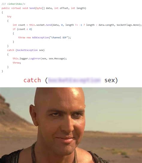 NICE R ProgrammerHumor