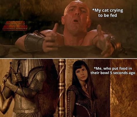 30 Imhotep Memes That Will Rise The Mummy Inside You Artofit