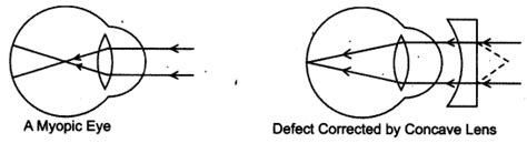 NCERT Solutions For Class Science Chapter Light Learn CBSE