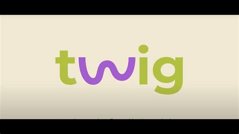 Rebranding Twig Network 2024 Motionvideo By Reversofilmes Youtube