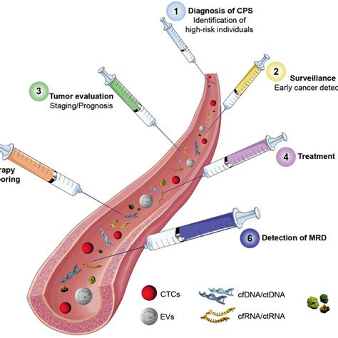 Timeline Of Potential Clinical Applications Of Liquid Biopsy In