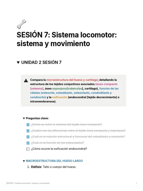 Micro Y Macroestructura Del Hueso Largo Pdf Hueso Articulación