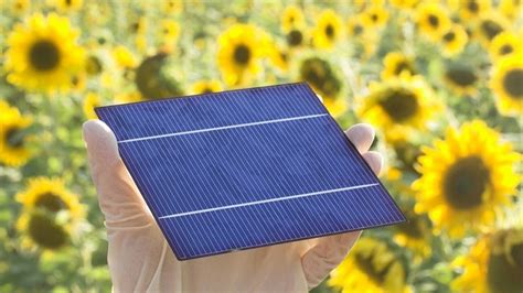 Tipos De Paneles Solares Precios Año 2025