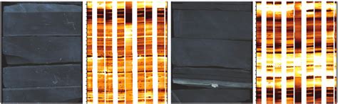 Horizontal Fractures In Cores And Image Logging Data Download Scientific Diagram