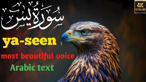 Surah al Yasin سورہ یس with arabic hd text tilawat quran best voice
