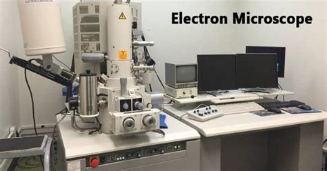 What Is The Difference Between Electron Microscopes And Light