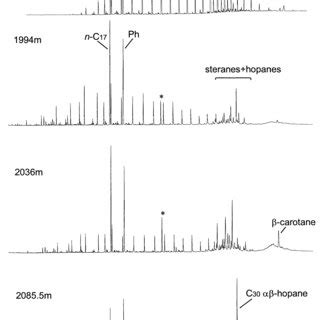 GC Traces For Saturated Hydrocarbon Fractions Of The Tertiary Download Scientific Diagram
