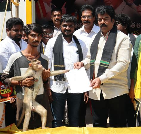 అలపరగక tdp protests