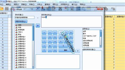 SPSS统计分析基础应用 个体数据和汇总数据的卡方检验 如何对汇总数据进行卡方检验 bilibili B站 无水印视频解析YIUIOS易柚斯