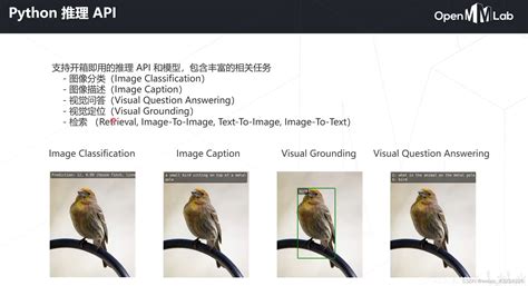 深度学习与训练与mmpretrain Csdn博客