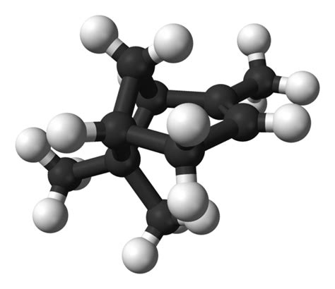 Pinene A Terpene That Can Improve Your Memory Alchimia Grow Shop
