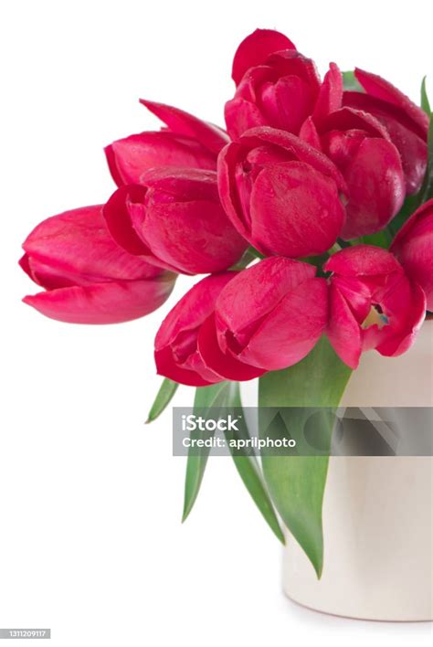 明るい背景にピンクのチューリップの花束 お祝いのストックフォトや画像を多数ご用意 お祝い まぶしい ウクライナ Istock