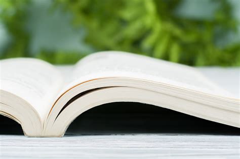 나무 테이블에 하드 백 책을 엽니 다 자연 배경 학교로 돌아갑니다 텍스트의 공간을 복사합니다 0명에 대한 스톡 사진 및 기타