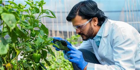 CUET ICAR UG Registration Open For Admission To Various Agricultural And Allied Sciences