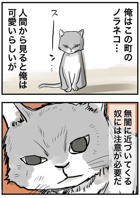 のらねこ しなのんちのいくる 仲曽良ハミの漫画