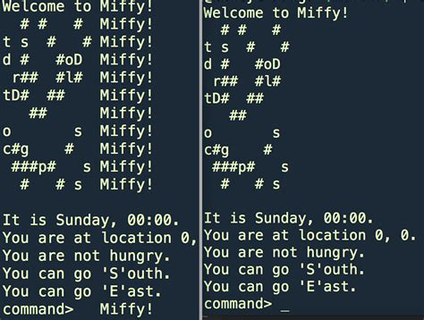 Clearing Buffer While Reading In Binary Data From A Server In C