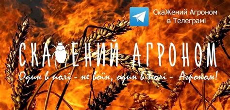 СкаЖений Агроном професійна комунікаційна платформа Facebook