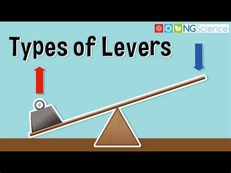 Third Class Lever Baseball Bat