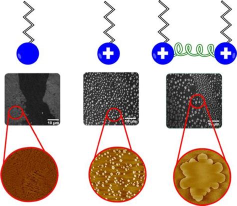 改性烟酸作为常规 双子表面活性剂的界面行为 Langmuir X Mol