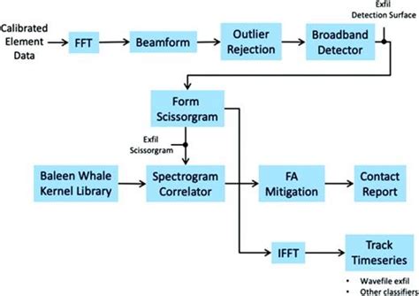 A Wave Glider Based Towed Hydrophone Array System For Autonomous Real Time Passive Acoustic