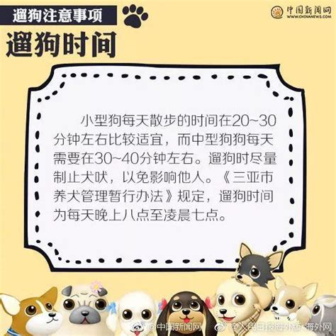 「我的狗狗很乖」，這不是你遛狗不牽繩的理由 每日頭條