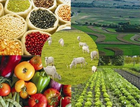 Afinal de contas o que é o agronegócio Portal Ambiente Legal