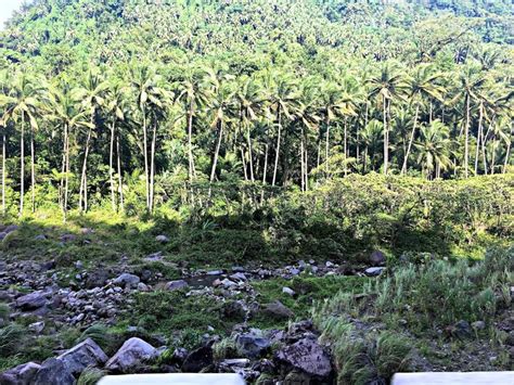 Binangawan Falls A Serene Waterfall Trail In Camiguin Philippines