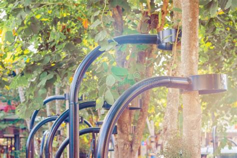 Black Steel Column Supports And Controls The Branches And Trunks Of The