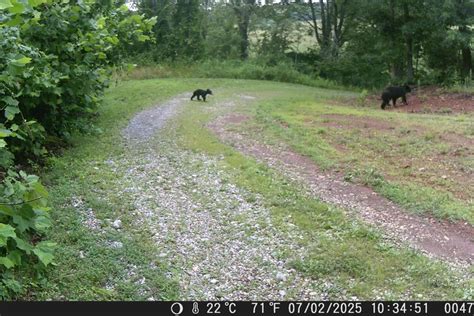 Wait For It Album On Imgur