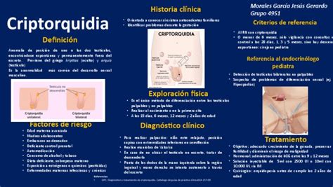 Criptorquidia Jgmga Pdf Testículo El Embarazo