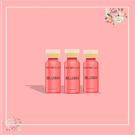 Bb Blush Meso White Bb Cream Starter Kit Brightening Serum Natural Nude Concealer Korean Make Up