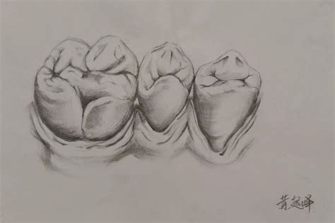 画牙齿的素描 画牙齿的简笔画图片 第10页 大山谷图库