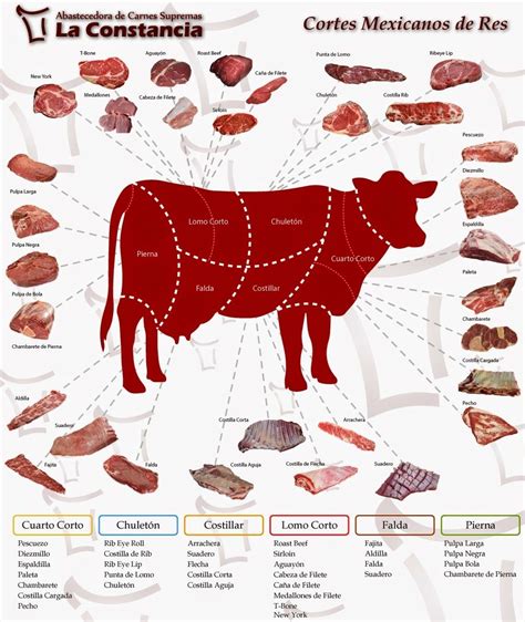 Tipos De Cortes De Carne Lights Crystal