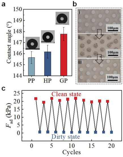 Gradient Micropillar Array Inspired By Tree Frog For Robust Adhesion On Dry And Wet Surfaces