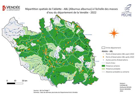 Ablette Alburnus Alburnus Fédération De La Pêche 85
