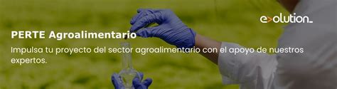 PERTE Agroalimentario Una oportunidad única para tu empresa en este