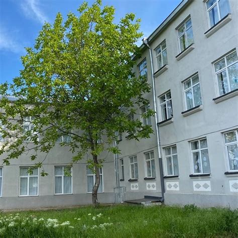 სსიპ ქალაქ მარნეულის N5 საჯარო სკოლა