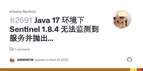 Java 17 环境下 Sentinel 1 8 4 无法监测到服务并抛出 IllegalAccessError Issue 2691 alibaba Sentinel GitHub