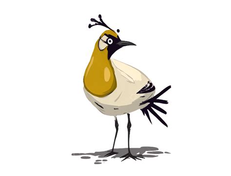 Bird Migration Cartoon