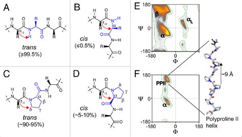 Chemical Structure Of Peptide Fragments In Trans A And C And Cis Download Scientific